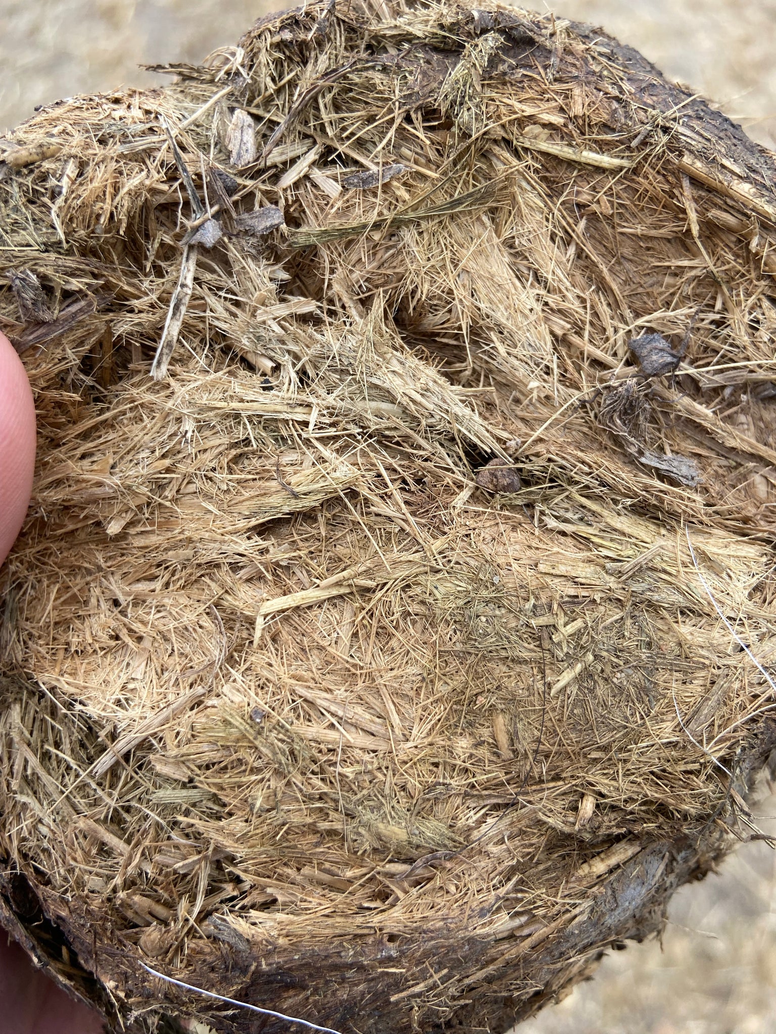 5 Gallons of Shredded Elephant Manure – Poo God